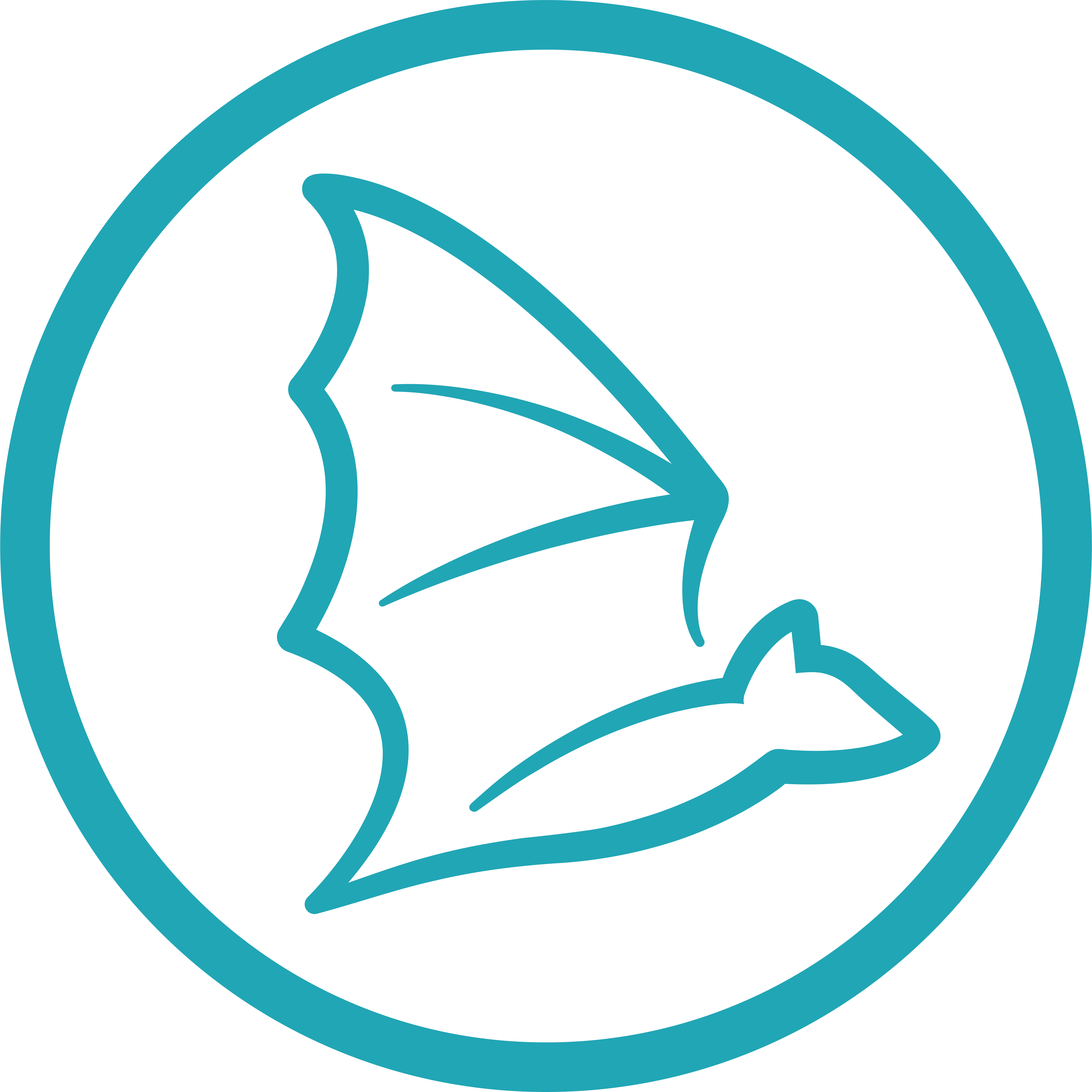 The BCI Collection - Accessories – Bat Conservation International